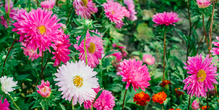 AnnyStudio photos, images, assets | Adobe Stock