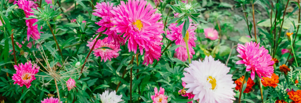 AnnyStudio photos, images, assets | Adobe Stock