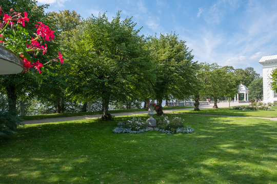 Kopfbaum 이미지 – 찾아보기 18 스톡 사진, 벡터 및 비디오 | Adobe Stock