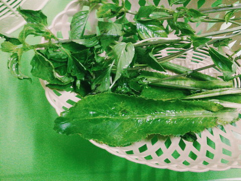 Potherb Bilder – Durchsuchen 157,340 Archivfotos, Vektorgrafiken und ...