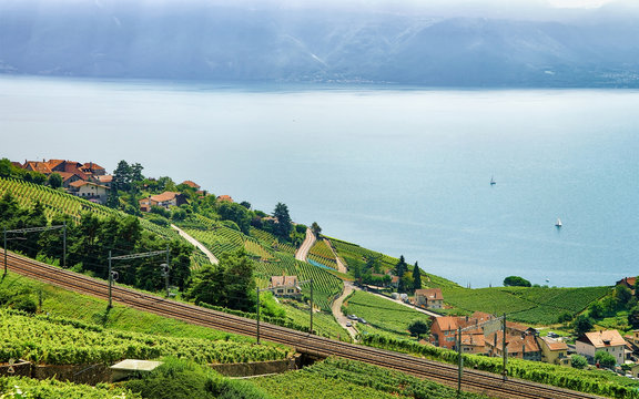 รูปภาพOron – เลือกดูภาพถ่ายสต็อก เวกเตอร์ และวิดีโอ644 | Adobe Stock