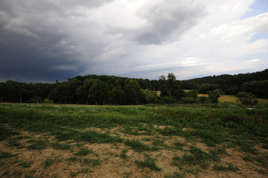 Futtergras bilder – Bläddra bland 89 stockfoton, vektorer och videor ...