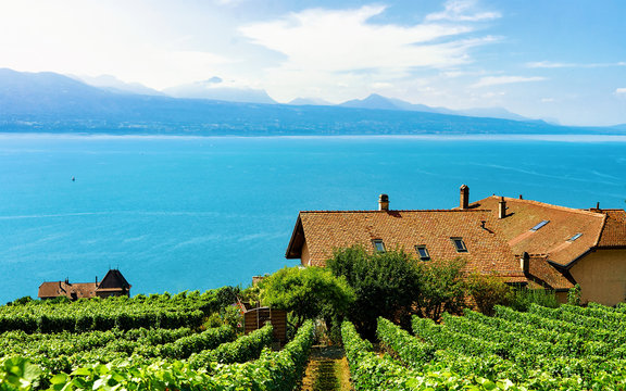 รูปภาพOron – เลือกดูภาพถ่ายสต็อก เวกเตอร์ และวิดีโอ644 | Adobe Stock