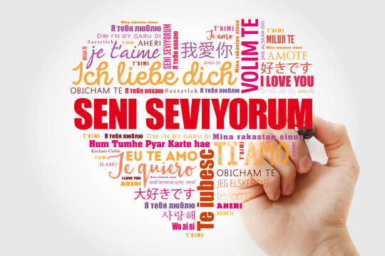 「Seni」の画像 - 944 件の Stock 写真、ベクターおよびビデオ | Adobe Stock