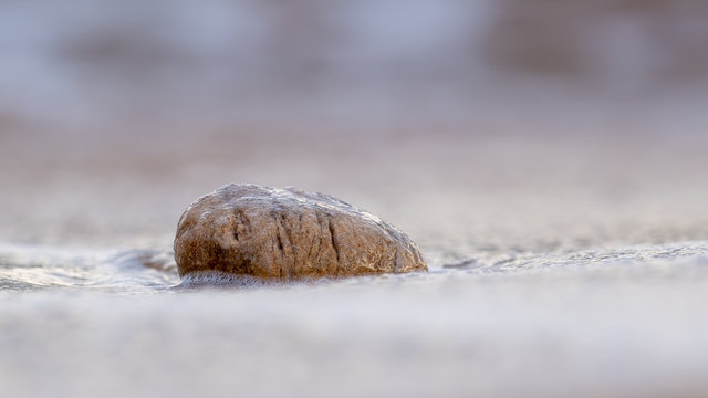 รูปภาพShallow – เลือกดูภาพถ่ายสต็อก เวกเตอร์ และวิดีโอ479,942 | Adobe Stock