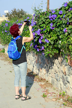 Prunkwinde Bilder – Durchsuchen 348 Archivfotos, Vektorgrafiken und ...