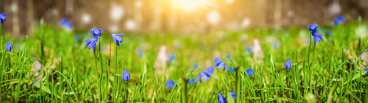Free Spring Images – Browse 43,852 Free Stock Photos, Vectors, and ...