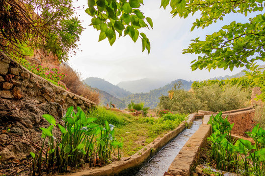 "Paisaje Rural" Images – Browse 2,783 Stock Photos, Vectors, and Video ...