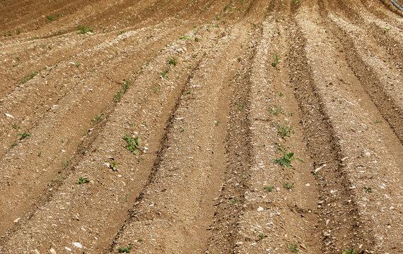 Furrow Images – Browse 849,685 Stock Photos, Vectors, and Video | Adobe ...