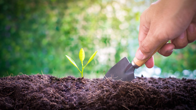 Germ-Free Images – Browse 1,002 Stock Photos, Vectors, and Video ...