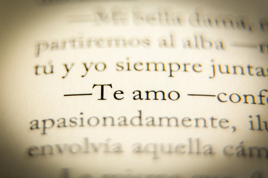 Amo Bilder – Durchsuchen 4,433 Archivfotos, Vektorgrafiken und Videos ...