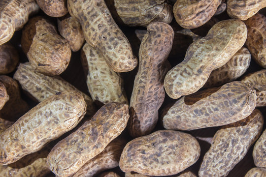 Oleaginoso Images – Browse 14 Stock Photos, Vectors, and Video | Adobe ...