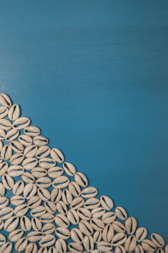 Cauris Images – Browse 39 Stock Photos, Vectors, and Video | Adobe Stock