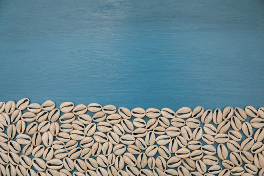 Cauris Images – Browse 39 Stock Photos, Vectors, and Video | Adobe Stock