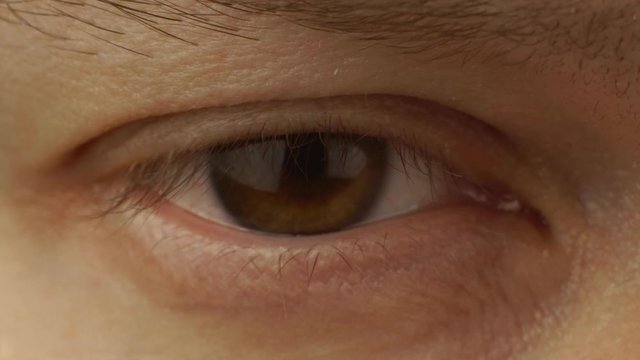 Blepharon Images – Browse 50 Stock Photos, Vectors, and Video | Adobe Stock