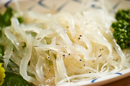 「Shirauo」の画像 - 209 件の Stock 写真、ベクターおよびビデオ | Adobe Stock