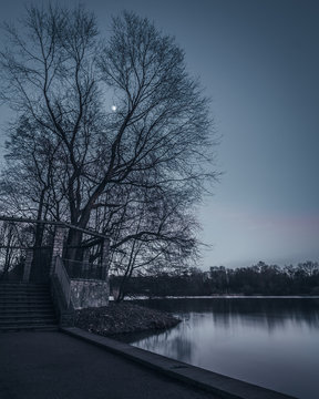 Gelse Bilder – Durchsuchen 548 Archivfotos, Vektorgrafiken und Videos ...