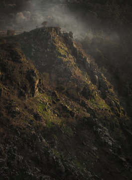 รูปภาพIsolada – เลือกดูภาพถ่ายสต็อก เวกเตอร์ และวิดีโอ889 | Adobe Stock