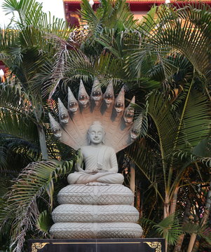 Payanak Bilder – Durchsuchen 212 Archivfotos, Vektorgrafiken und Videos ...