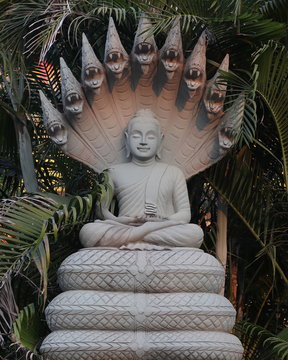 Payanak Bilder – Durchsuchen 212 Archivfotos, Vektorgrafiken und Videos ...