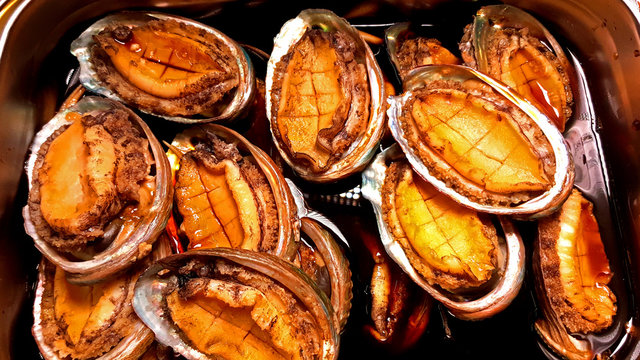 Abalone Food Templates – Free Editable Designs | PikWizard