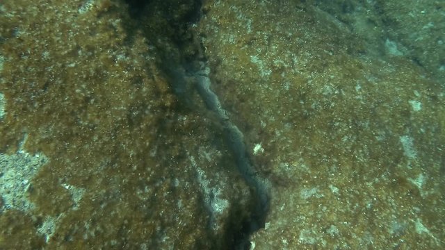 Lagenstein Bilder – Durchsuchen 4,048 Archivfotos, Vektorgrafiken und ...