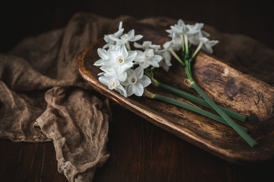 Paperwhite Bilder – Durchsuchen 1,126 Archivfotos, Vektorgrafiken und ...