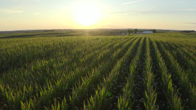 Midwestern Images – Parcourir 5,306 le catalogue de photos, vecteurs et ...