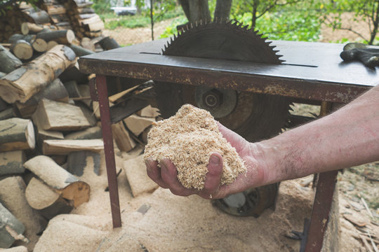 Chipwood Bilder – Durchsuchen 130 Archivfotos, Vektorgrafiken und ...