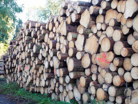 「Trocknen」の画像 - 12,904 件の Stock 写真、ベクターおよびビデオ | Adobe Stock