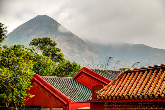 Lin 이미지 – 찾아보기 36,498 스톡 사진, 벡터 및 비디오 | Adobe Stock