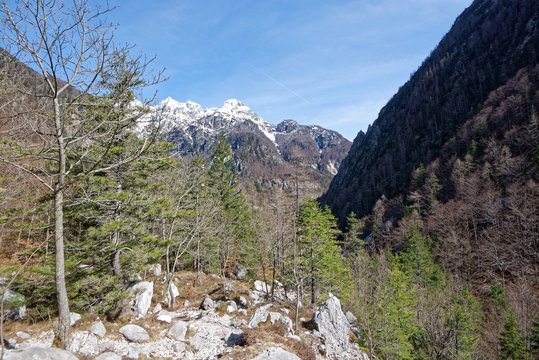 "Nationalpark Triglav" Images – Browse 265 Stock Photos, Vectors, and ...