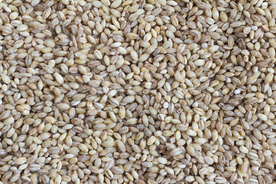 Perlovka Bilder – Durchsuchen 19 Archivfotos, Vektorgrafiken und Videos ...