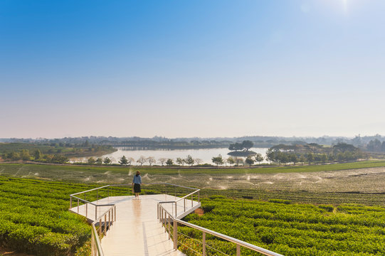 รูปภาพBoonrawd – เลือกดูภาพถ่ายสต็อก เวกเตอร์ และวิดีโอ86 | Adobe Stock