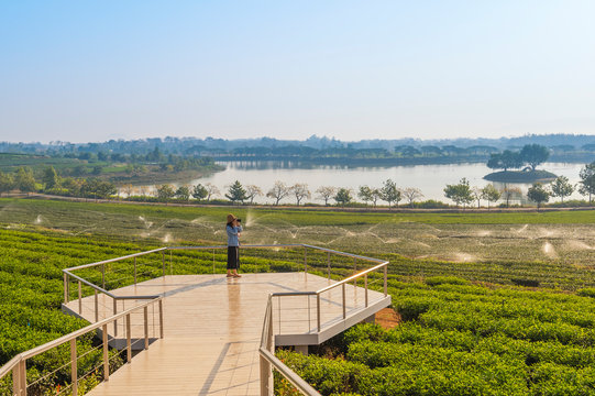 รูปภาพBoonrawd – เลือกดูภาพถ่ายสต็อก เวกเตอร์ และวิดีโอ86 | Adobe Stock