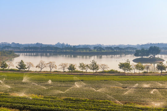 รูปภาพBoonrawd – เลือกดูภาพถ่ายสต็อก เวกเตอร์ และวิดีโอ86 | Adobe Stock