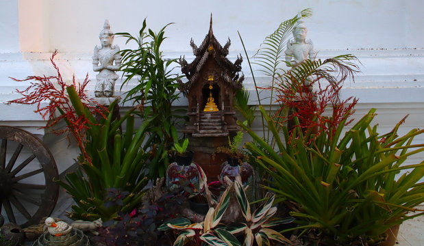 Payanak Bilder – Durchsuchen 212 Archivfotos, Vektorgrafiken und Videos ...