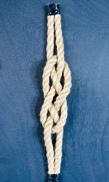 「Trosse」の画像 - 335 件の Stock 写真、ベクターおよびビデオ | Adobe Stock