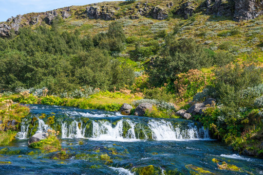 Rauda Images – Browse 46 Stock Photos, Vectors, and Video | Adobe Stock