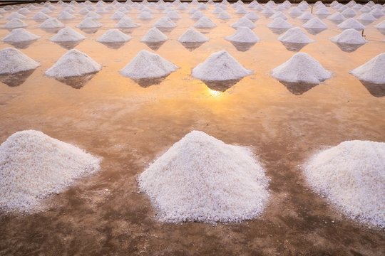 「Salt-Farm」の写真素材 | 220件の無料イラスト画像 | Adobe Stock