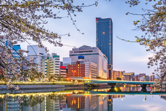 Enko 影像 – 瀏覽 10 個素材庫相片、向量圖和影片 | Adobe Stock