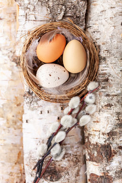 Ostara Images – Browse 2,152 Stock Photos, Vectors, and Video | Adobe Stock