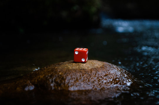 Dado Images – Browse 14,668 Stock Photos, Vectors, and Video | Adobe Stock