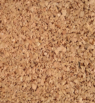 Corkwood Imagens – Procure 1,033 fotos, vetores e vídeos | Adobe Stock