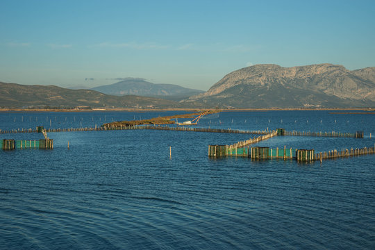 Missolonghi Bilder – Durchsuchen 787 Archivfotos, Vektorgrafiken und ...