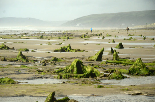「Forist」の画像 - 86 件の Stock 写真、ベクターおよびビデオ | Adobe Stock