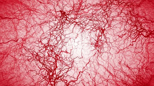 Capillary 이미지 – 찾아보기 26,440 스톡 사진, 벡터 및 비디오 | Adobe Stock