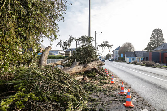 「Deracinated」の画像 - 12,447 件の Stock 写真、ベクターおよびビデオ | Adobe Stock