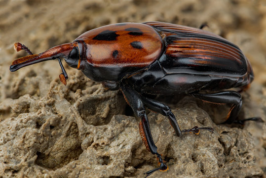 DIE 648 BESTEN BILDER, STOCK-FOTOS UND -VEKTORGRAFIKEN ZU ...