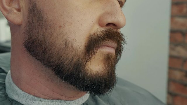 "Shaving Beard" - Images et vidéos libres de droits | Adobe Stock